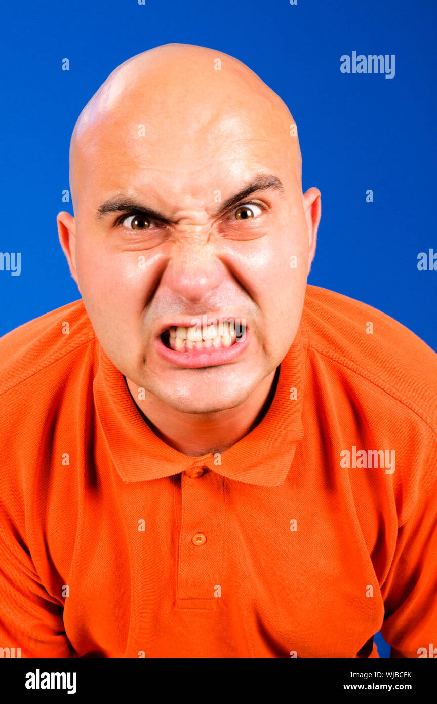 Angry bald guy isolated on blue Stock Photo - Alamy