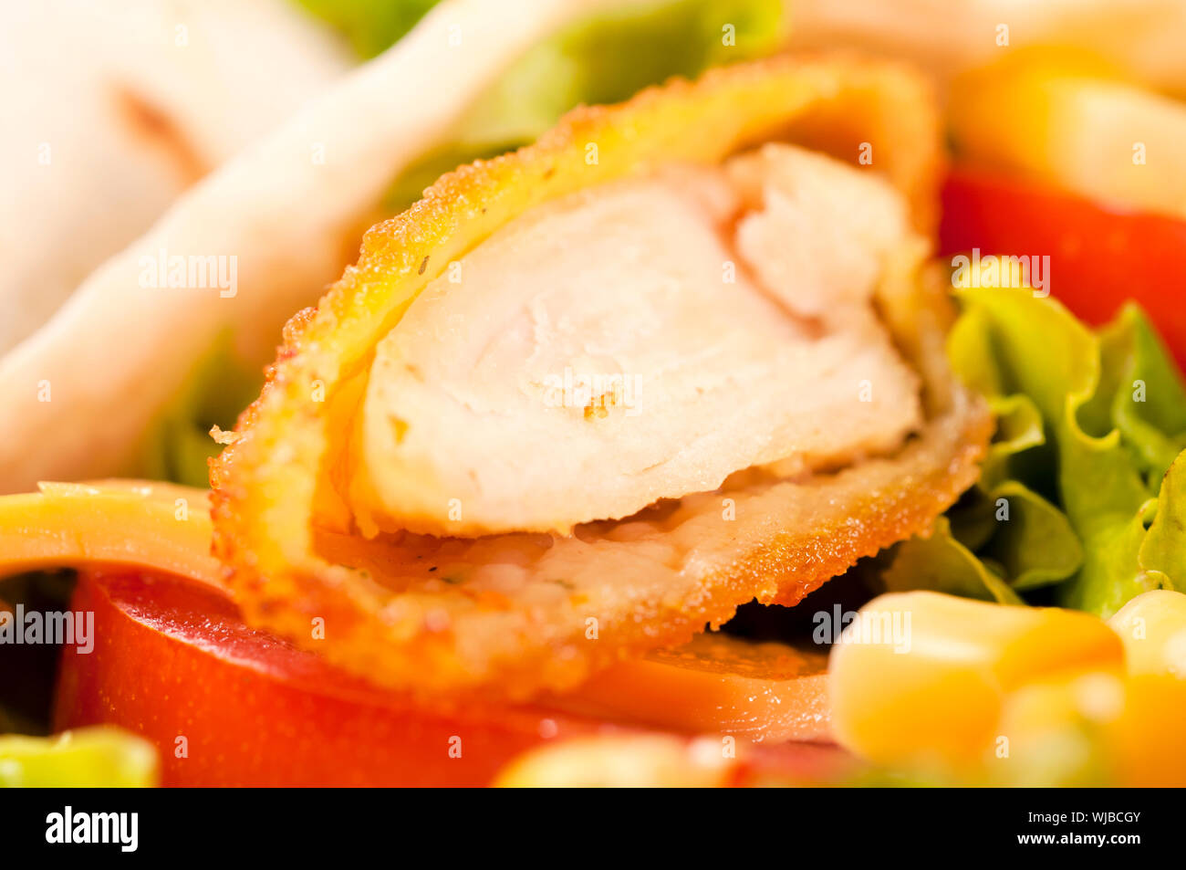 Fried white meat close up. Selective focus on the piece of chicken ...