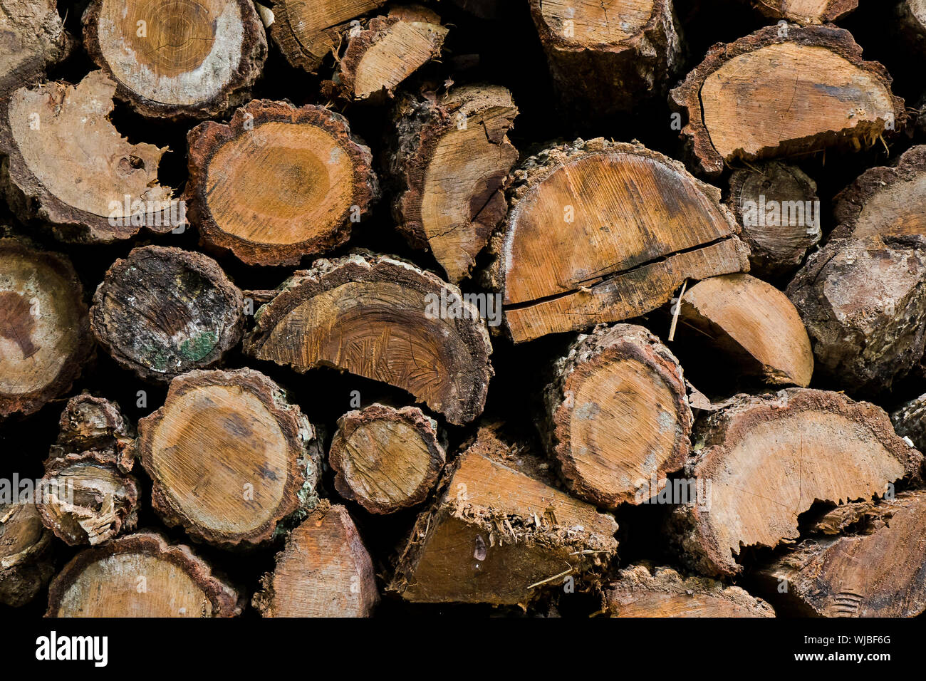Frame of logs hi-res stock photography and images - Alamy