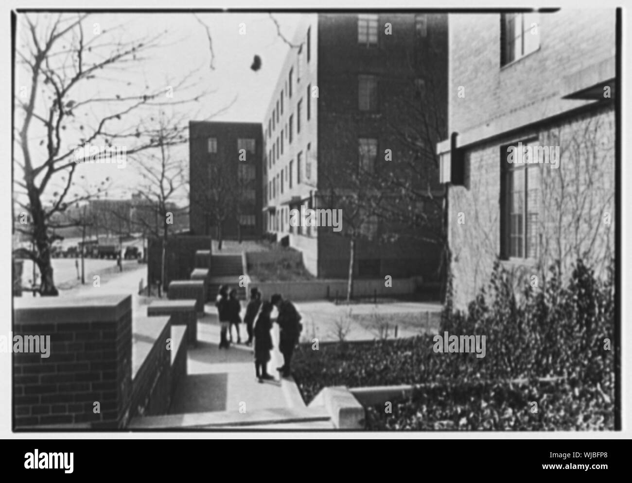 Public housing project harlem hi-res stock photography and images - Alamy