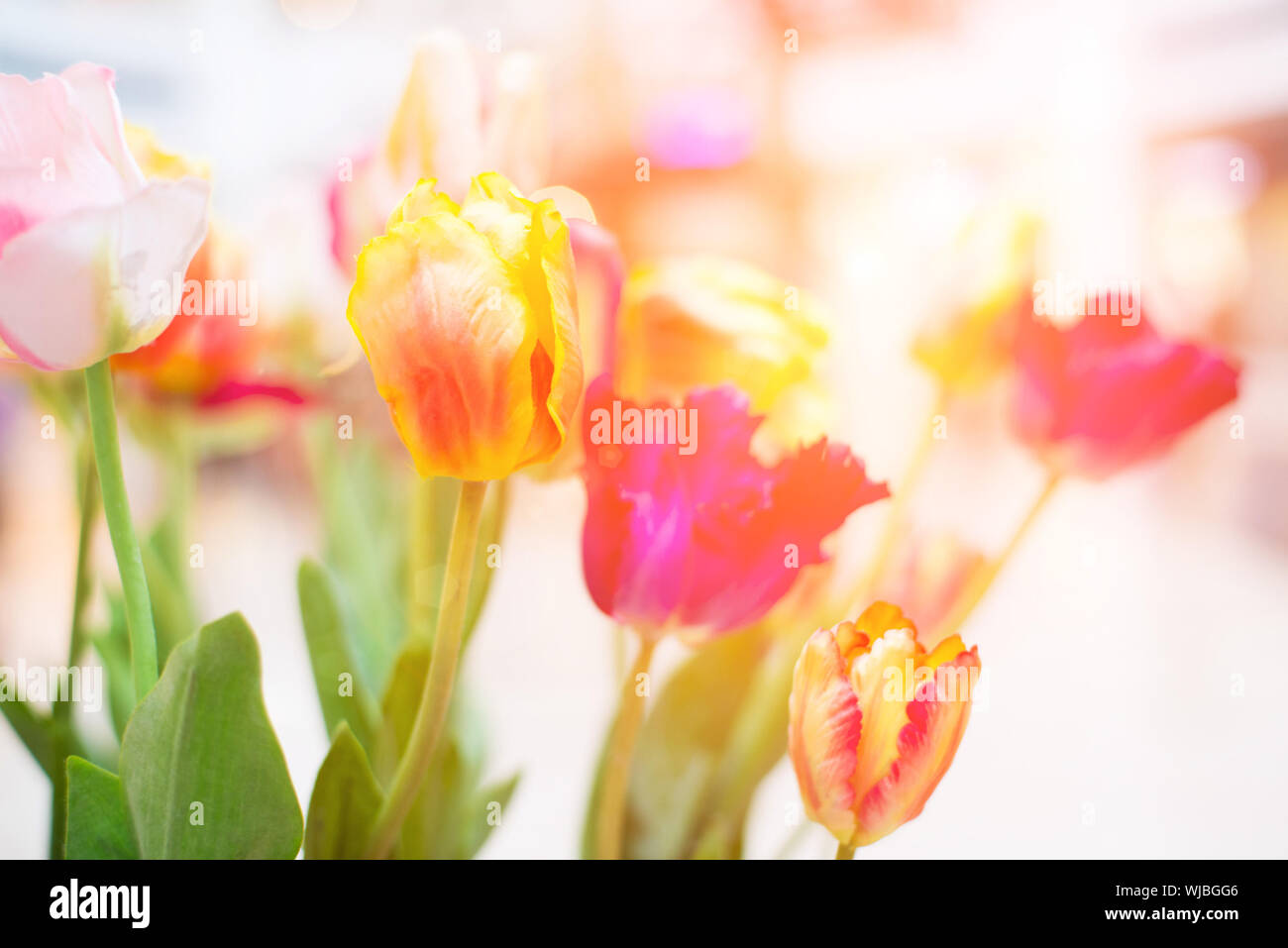 Aa24 hi-res stock photography and images - Alamy