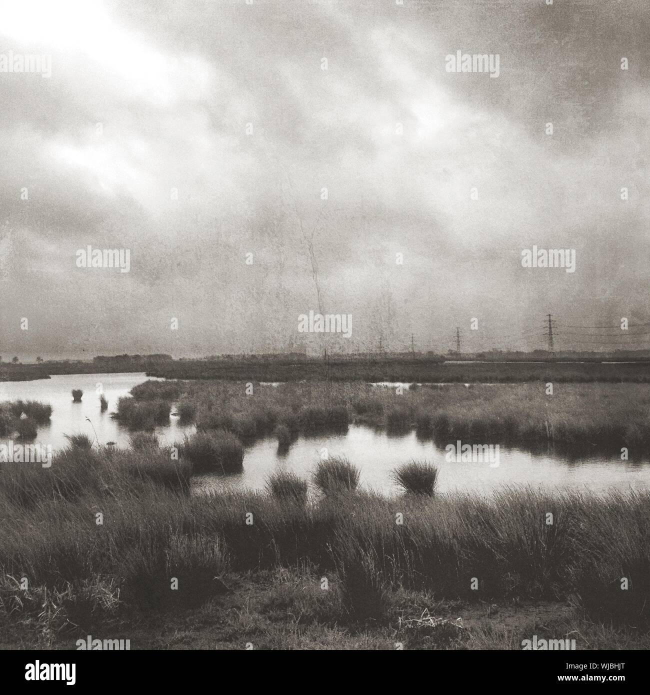 Scenic swamp hi-res stock photography and images - Alamy