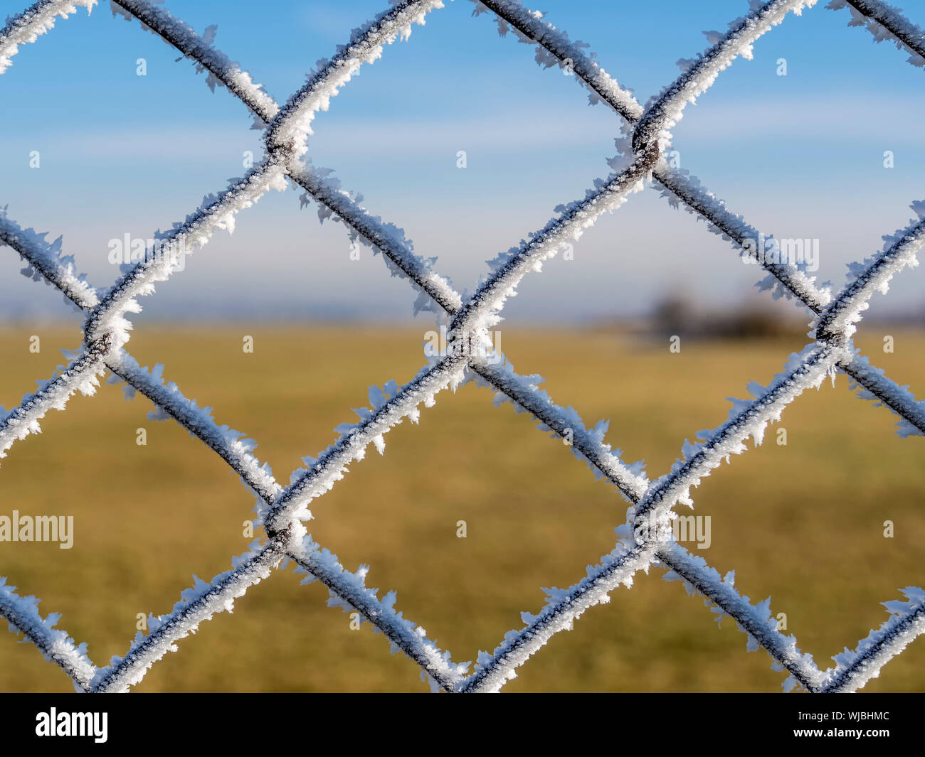 Closeup of fence with frost and ice crystals Stock Photo - Alamy