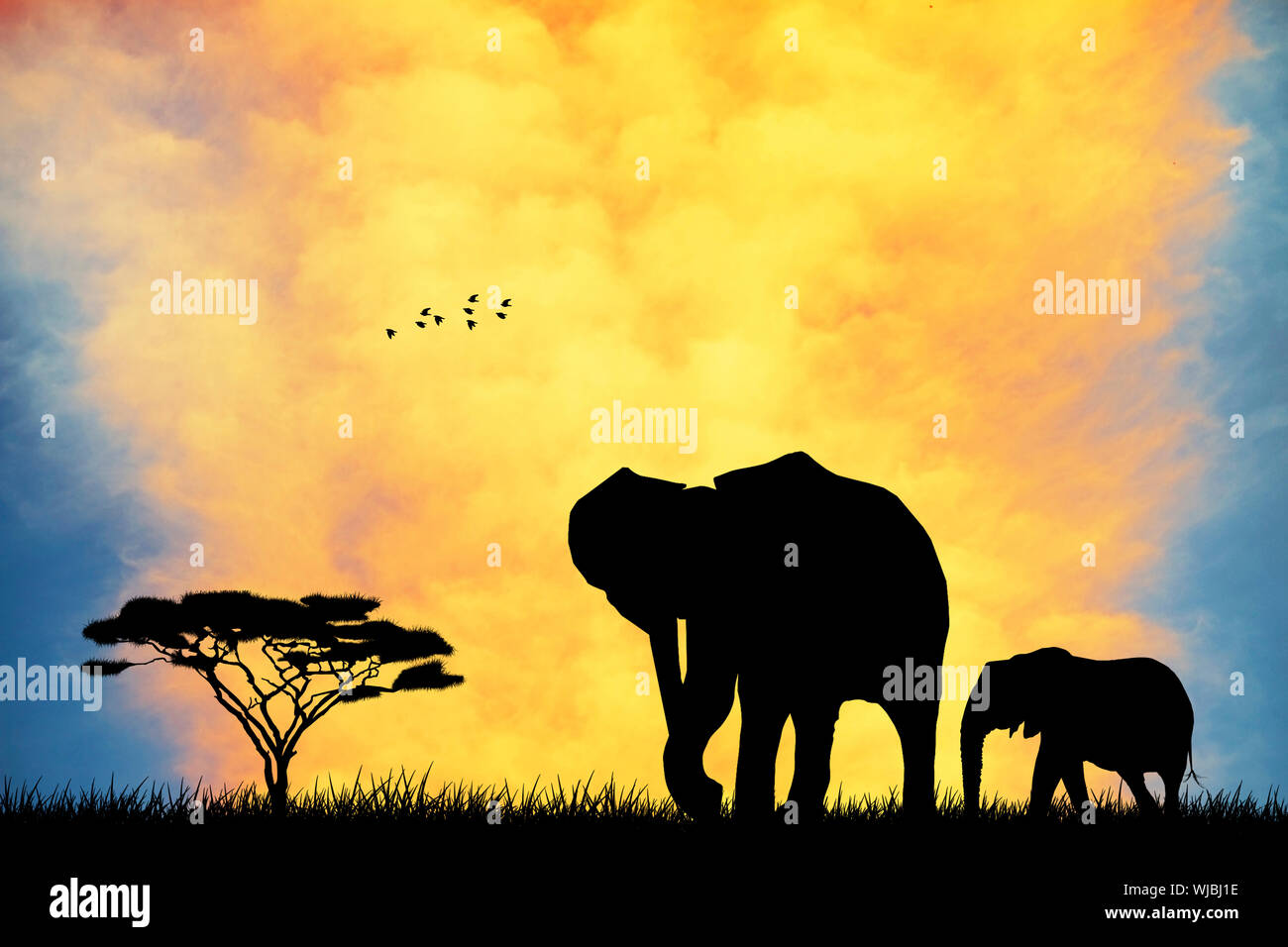 Elephant in African landscape Stock Photo - Alamy