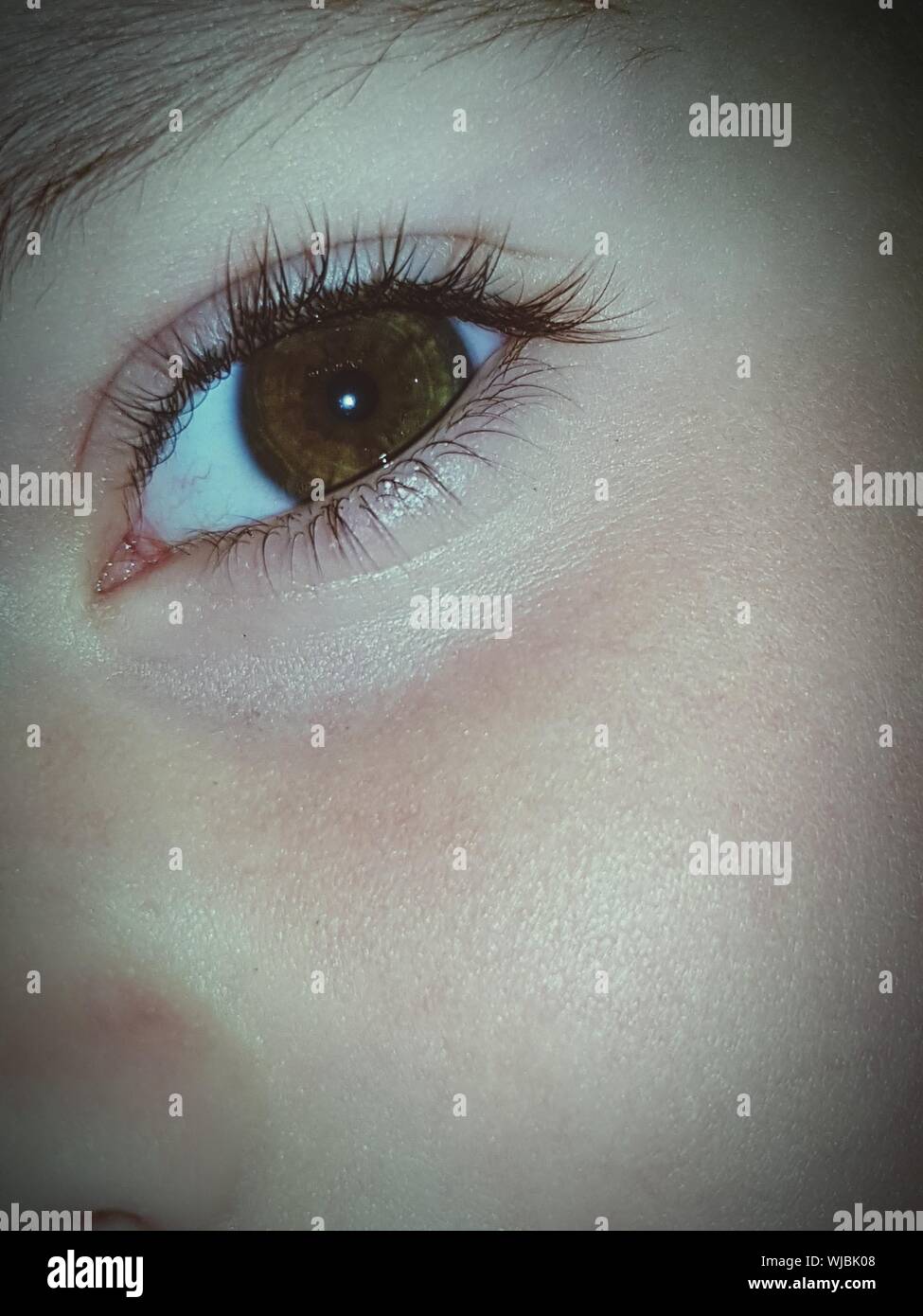 Close-up Portrait Of Human Eye Stock Photo - Alamy