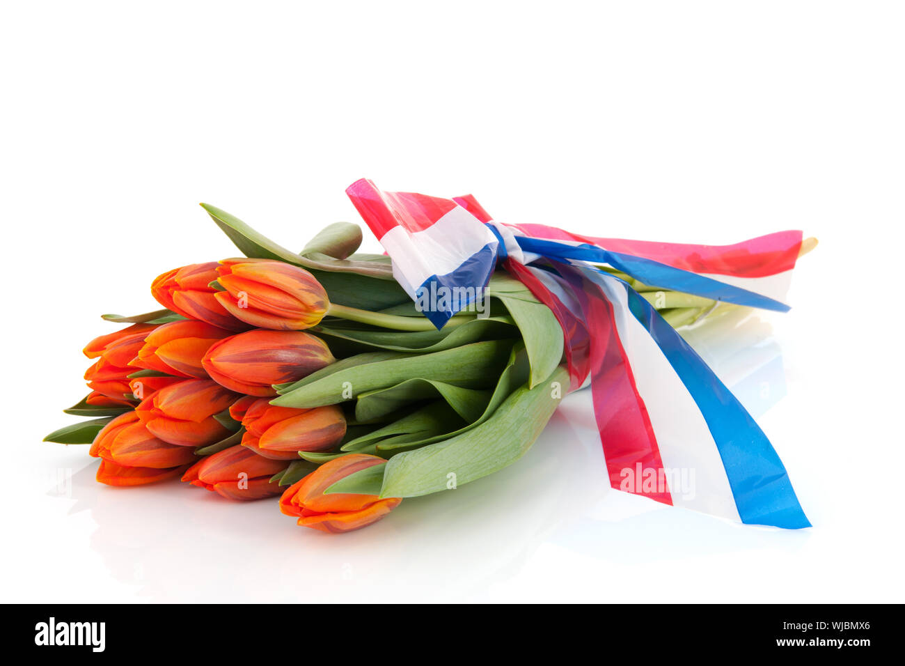 Dutch orange tulips with red white and blue ribbon Stock Photo - Alamy