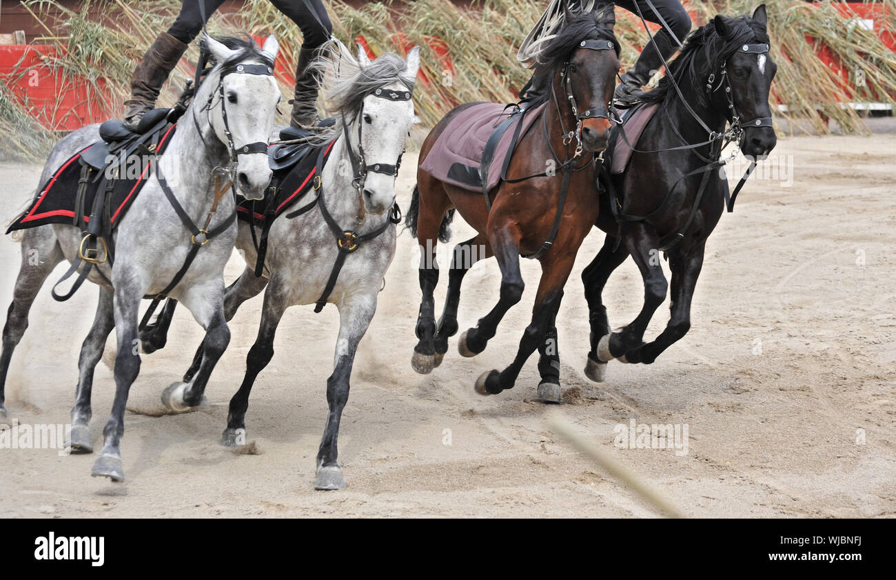 The galloping acrobatics hi-res stock photography and images - Alamy