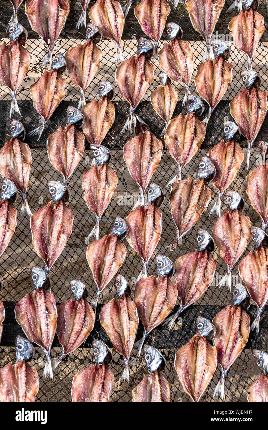 Fish Drying On Frame High Resolution Stock Photography and Images - Alamy