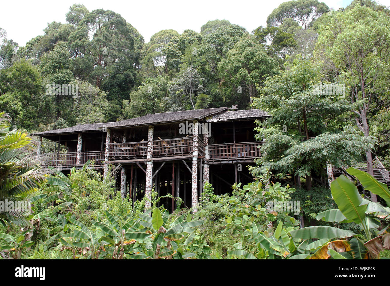 A traditional native Dayak timber house in the Borneo jungle Stock ...