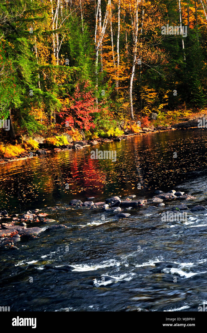 Lake shore of fall forest with colorful reflections Stock Photo - Alamy