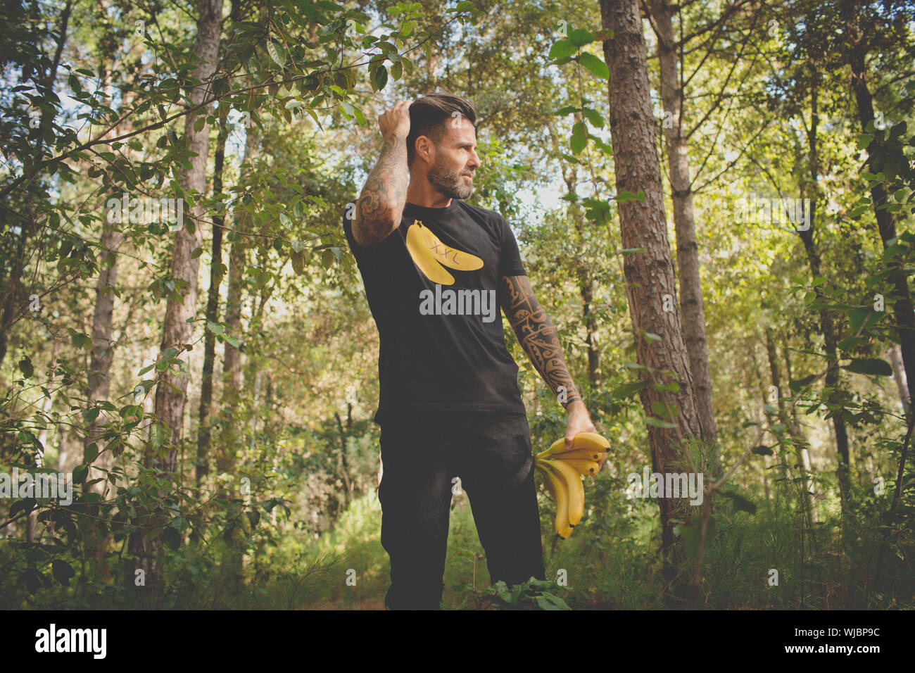 Real banana tree with bananas hi-res stock photography and images - Alamy
