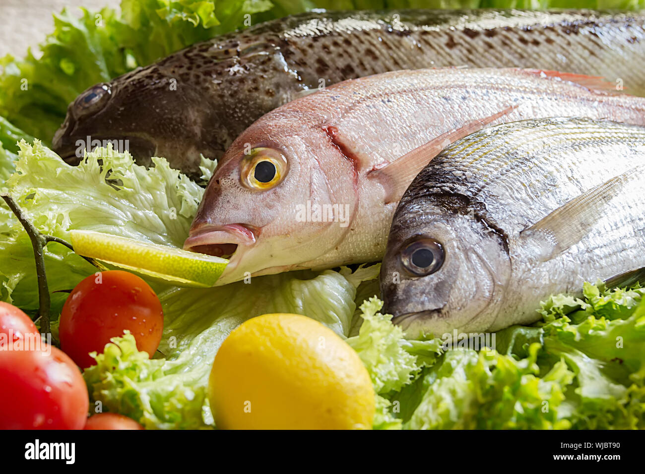 fresh see bass and other fish with some ingredients Stock Photo - Alamy