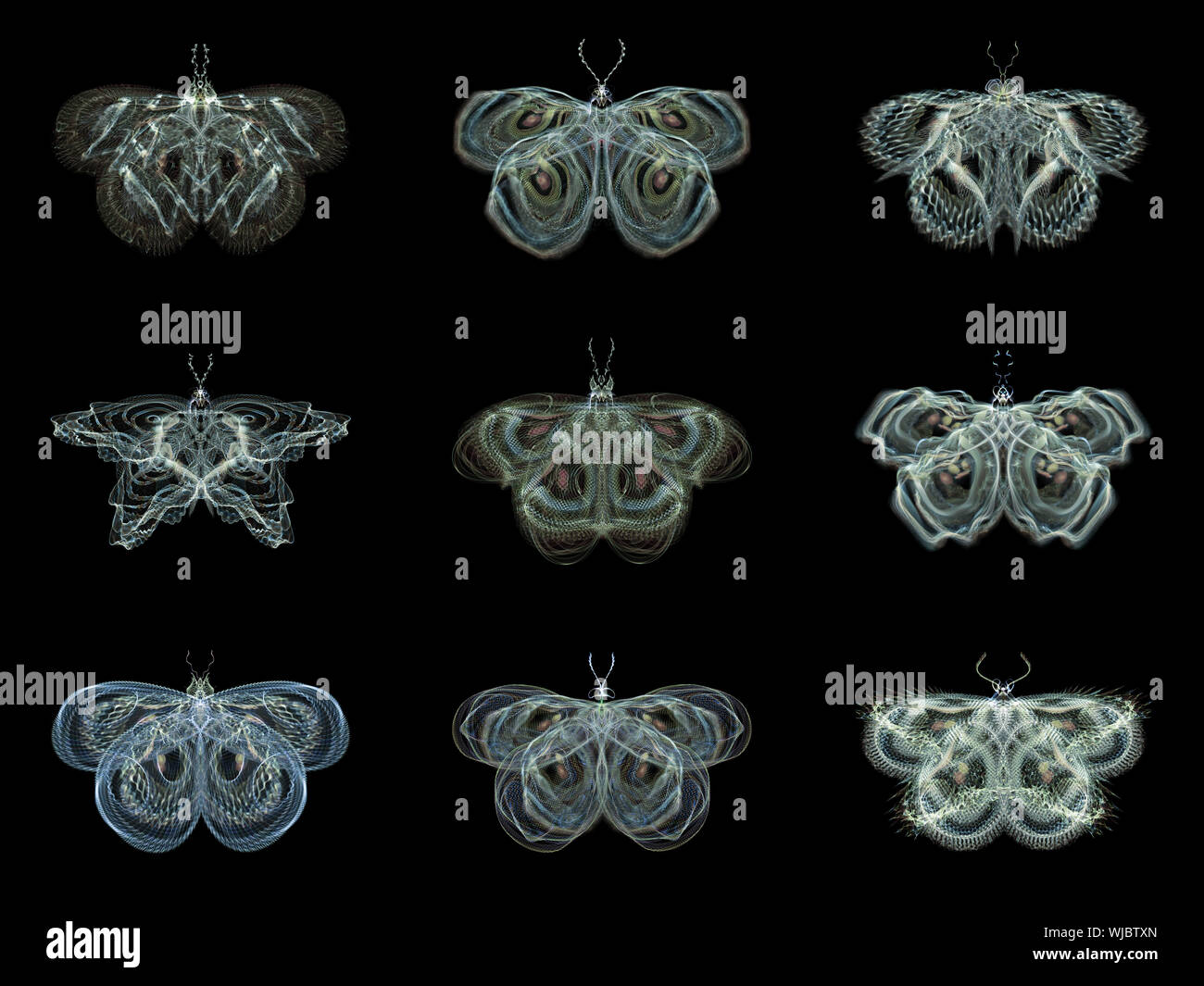 Fractal Butterflies series. Abstract design made of isolated fractal ...