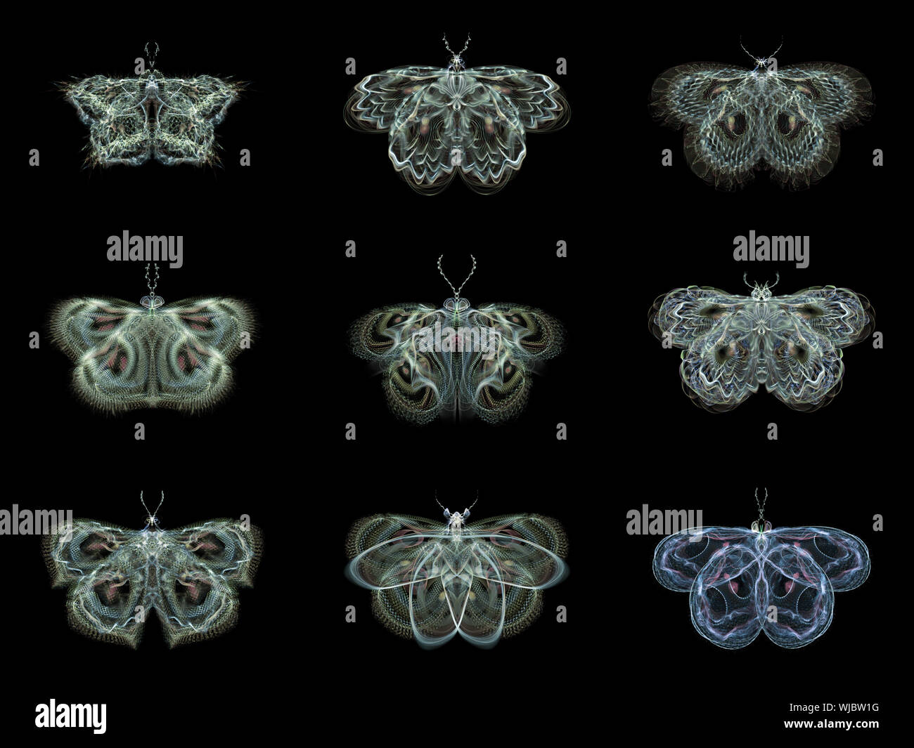 Fractal Butterflies series. Abstract design made of isolated fractal ...