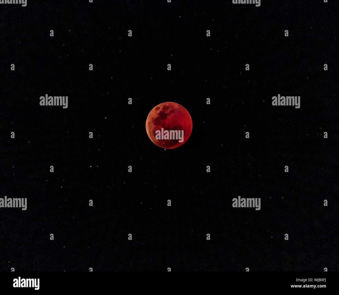 Close shot of the blood moon in a dark sky filled with starts Stock ...