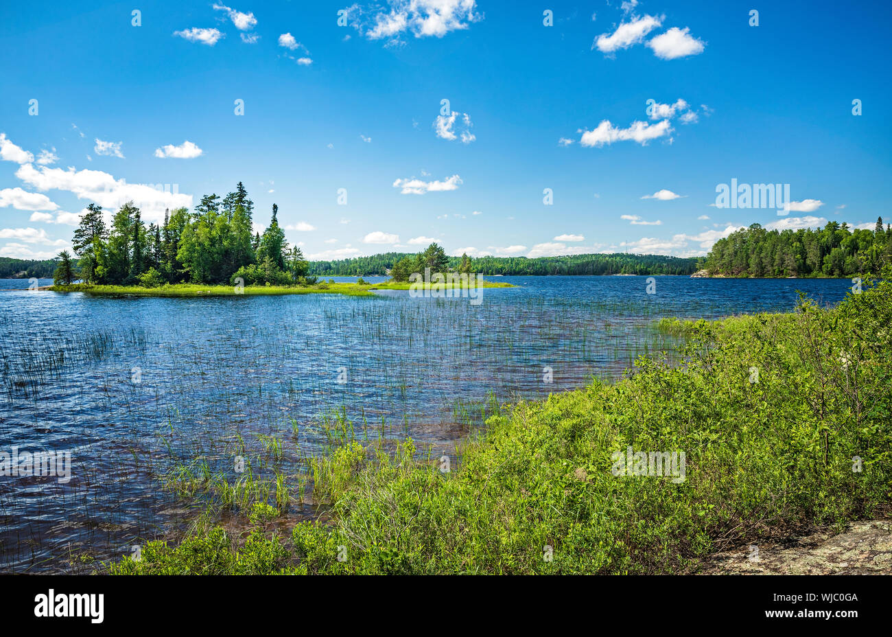 View of an Island on French Lake from at the Chippewa campground in ...