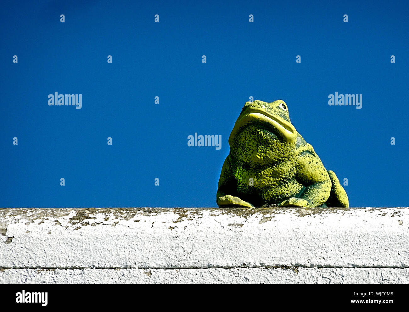 Frog blue sky hi-res stock photography and images - Alamy