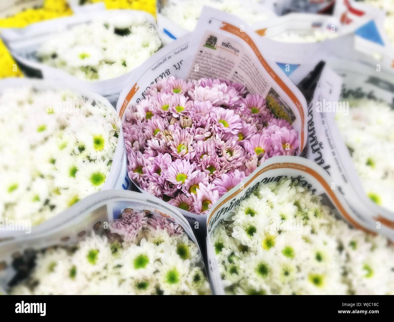 Flowers wrapped in newspaper hi-res stock photography and images - Alamy