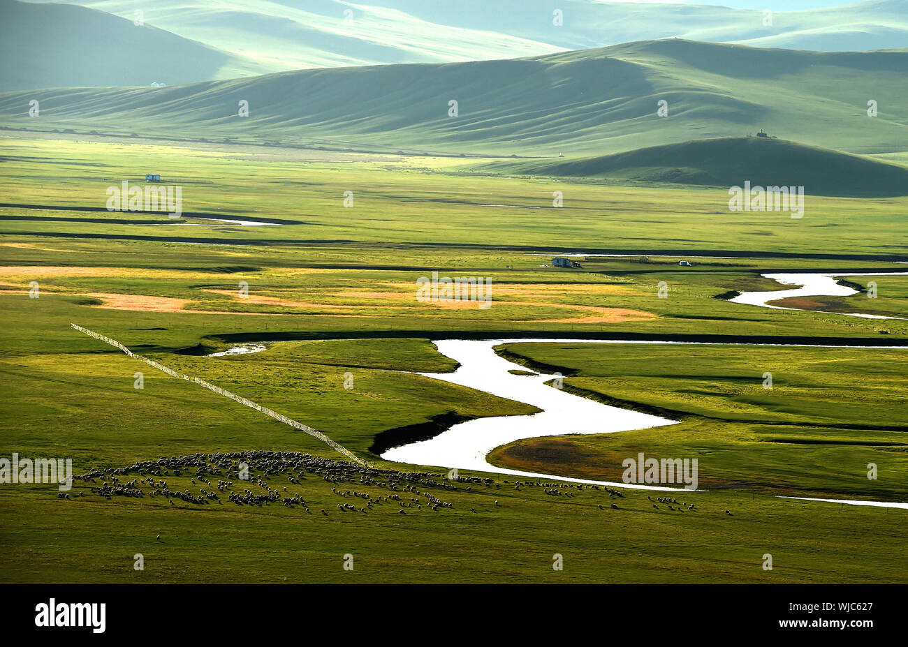 Nur forests hi-res stock photography and images - Alamy