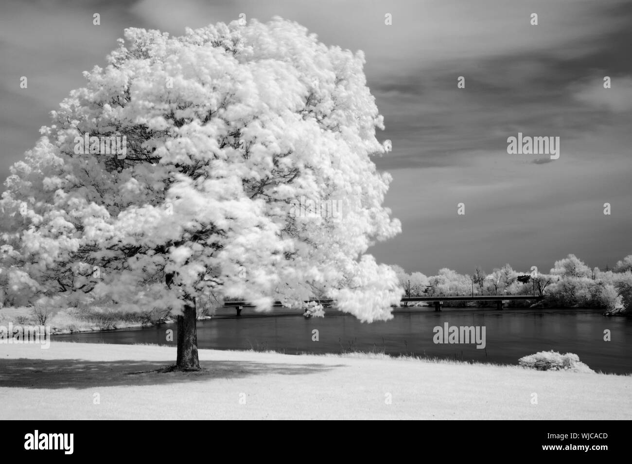 Landscape scene shot with an infrared filter Stock Photo - Alamy