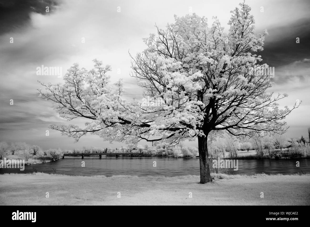 Landscape scene shot with an infrared filter Stock Photo - Alamy