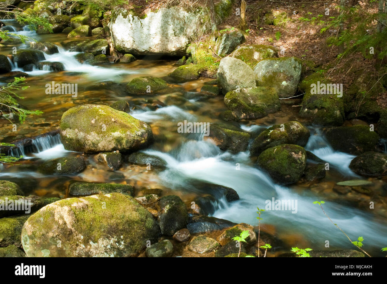 Small waterfalls in the middle of a forest Stock Photo - Alamy