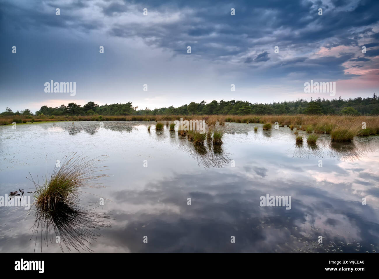 clouded stormy sunset over bog, Fochteloerveen, Netherlands Stock Photo ...