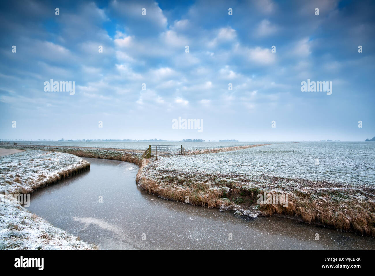 frozen canal on Dutch winter farmland, Groningen, Netherlands Stock ...