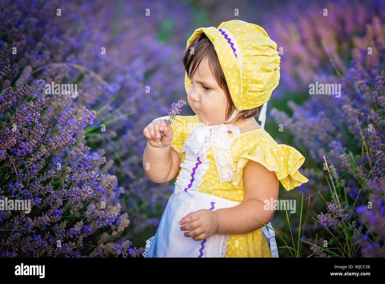 Baby smelling flower hi-res stock photography and images - Alamy