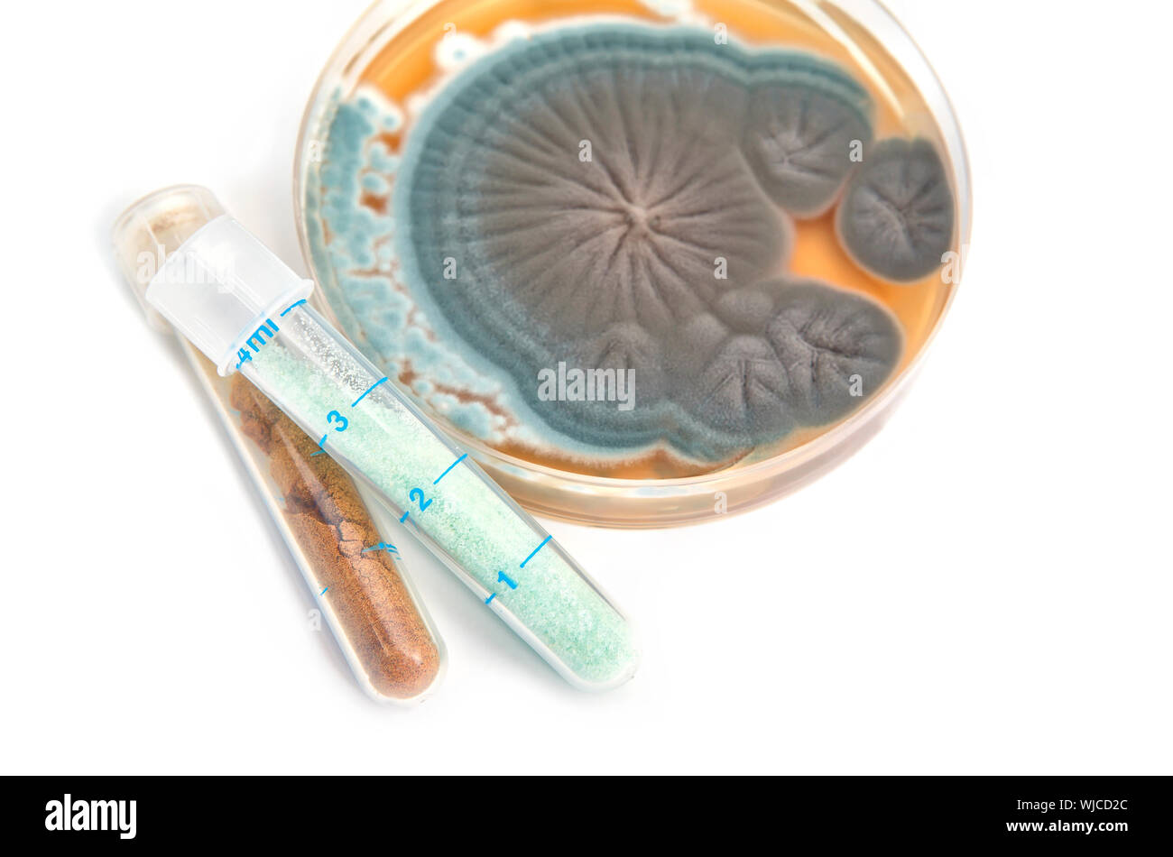 tubes with medical drugs and Penicillium fungi over white background ...