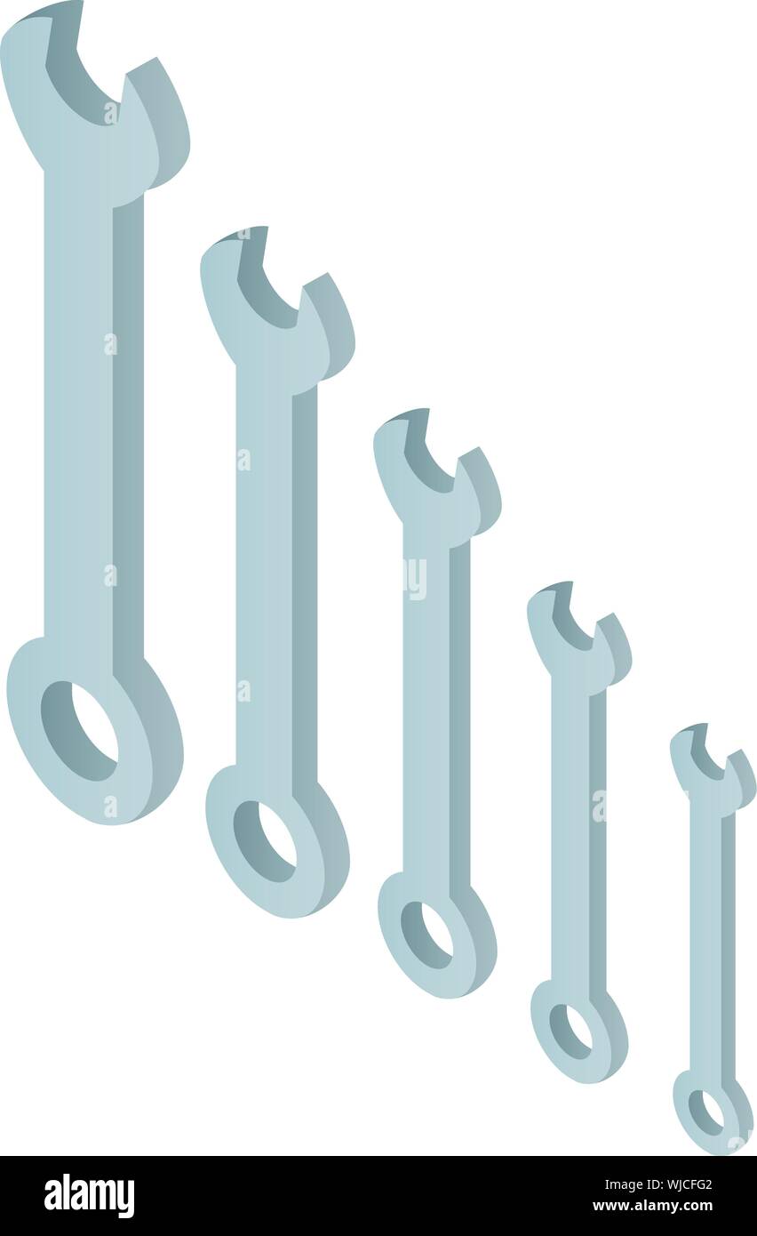 Set tool key icon. Isometric of set tool key vector icon for web design ...