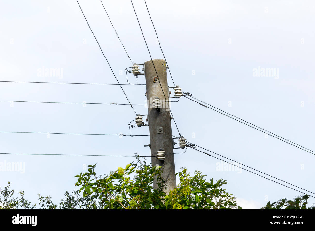 old concrete power-line with tree crown Stock Photo - Alamy