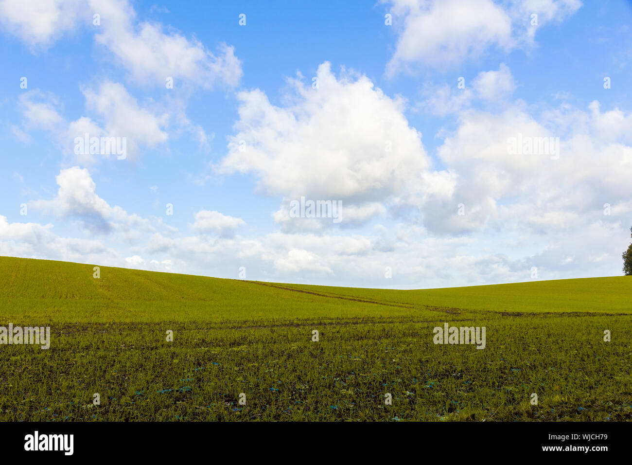 silhouette of a light hill against a blue cloudy sky Stock Photo - Alamy