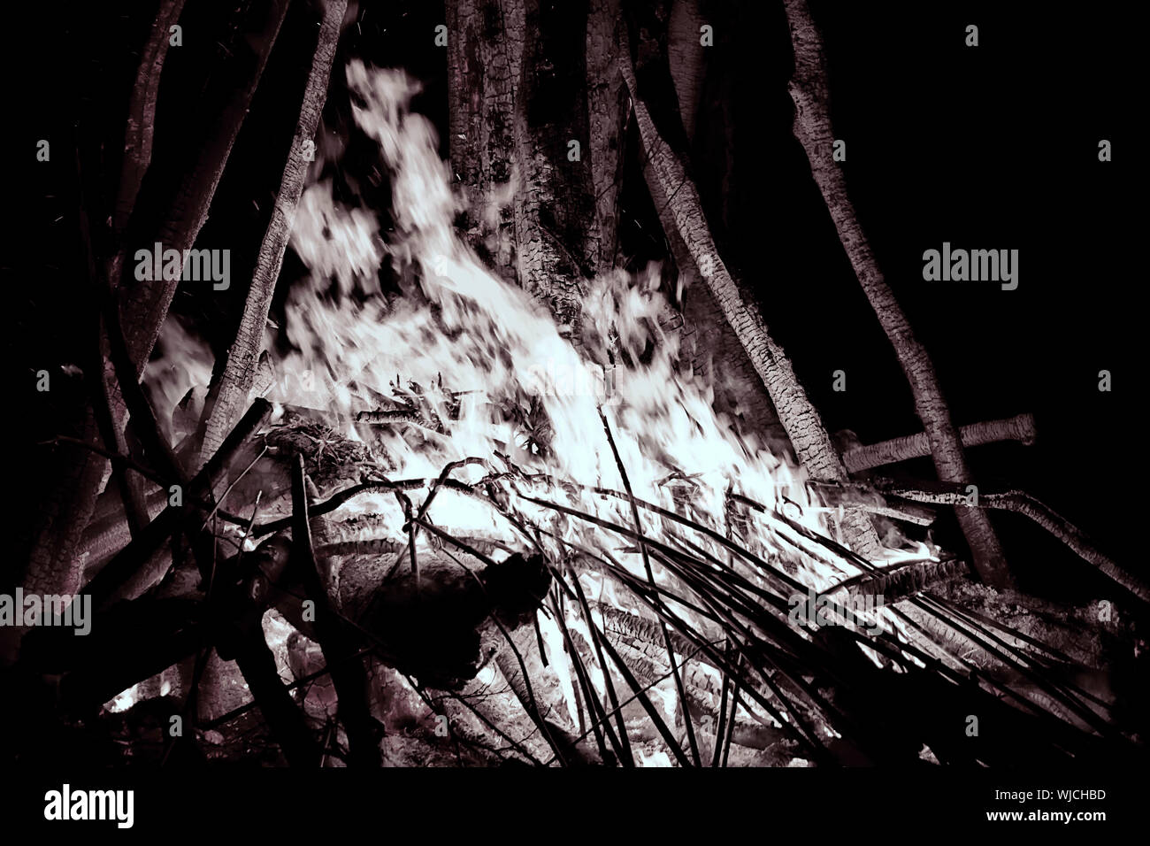 campfire in the night, black and white Stock Photo - Alamy