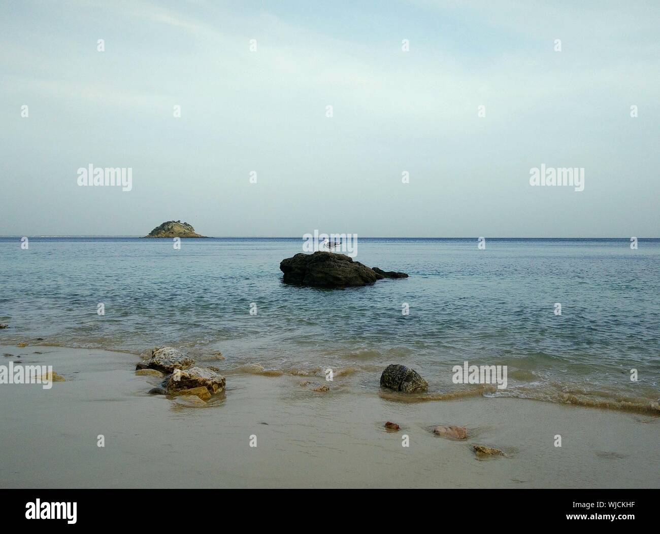 Shallow rock hi-res stock photography and images - Alamy