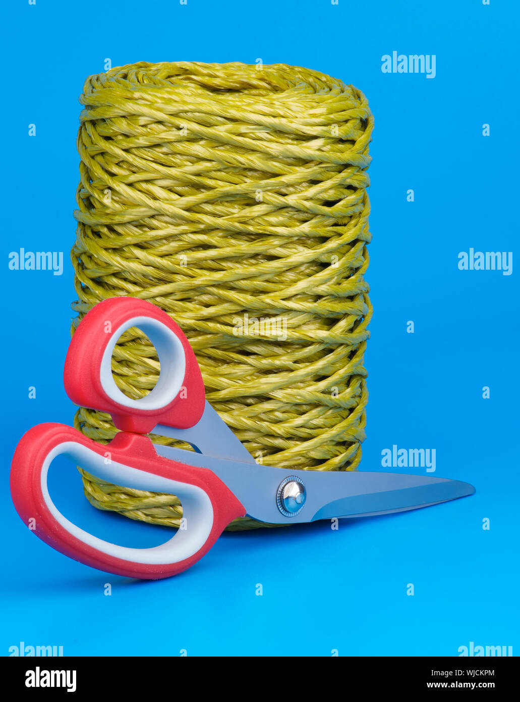 Shiny Green Bamboo Twisted Threads and Sewings Scissors isolated on ...