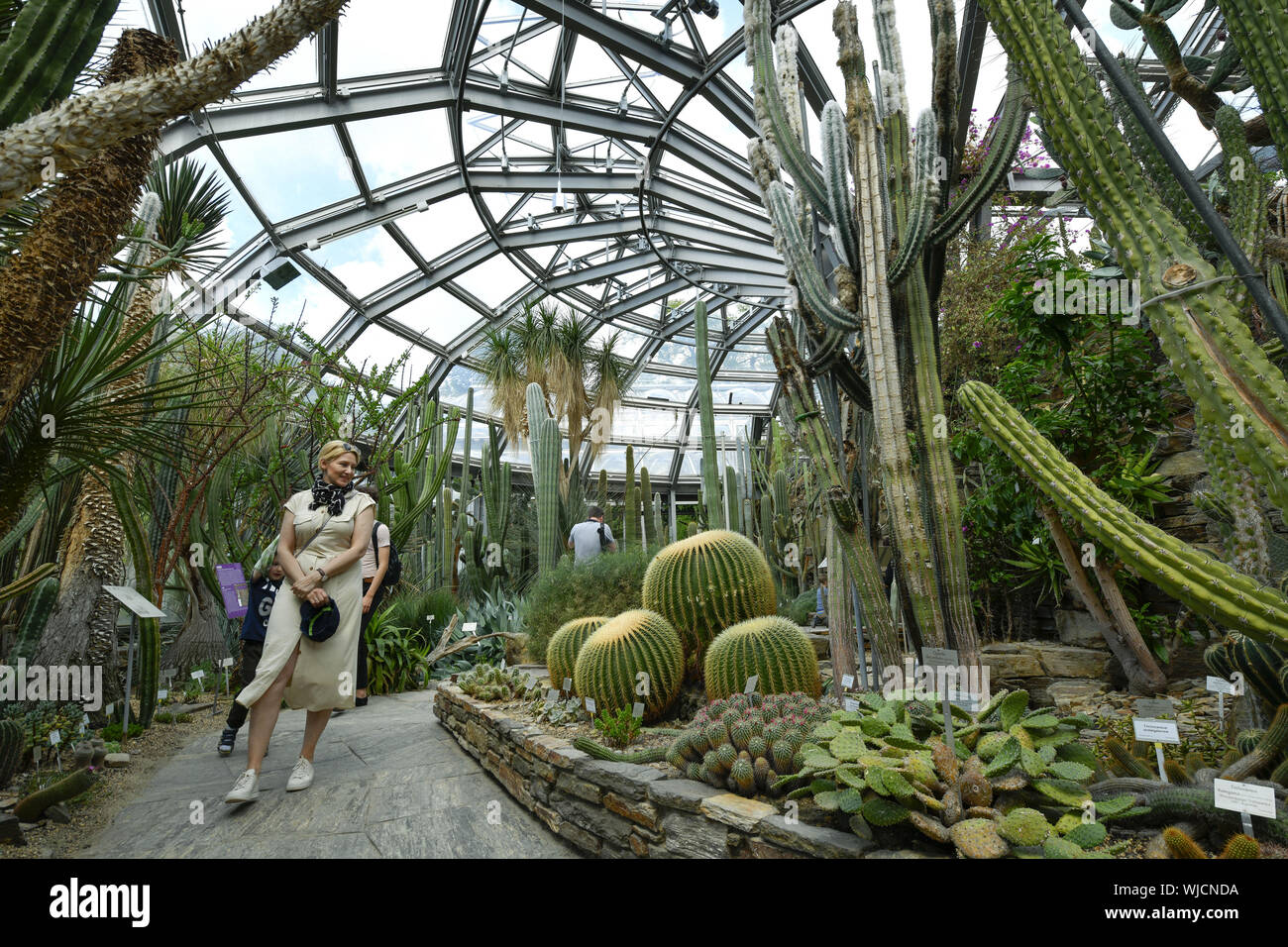 View, architecture, Berlin, botanical garden, Germany, building, building, greenhouse ...