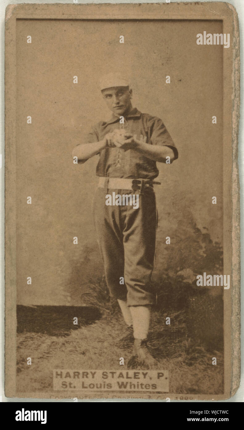 Harry Staley, St. Louis Whites, baseball card portrait Stock Photo - Alamy