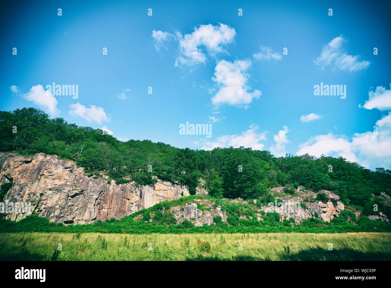 Green forest on a hillside with cliffs and a field in the front under a ...
