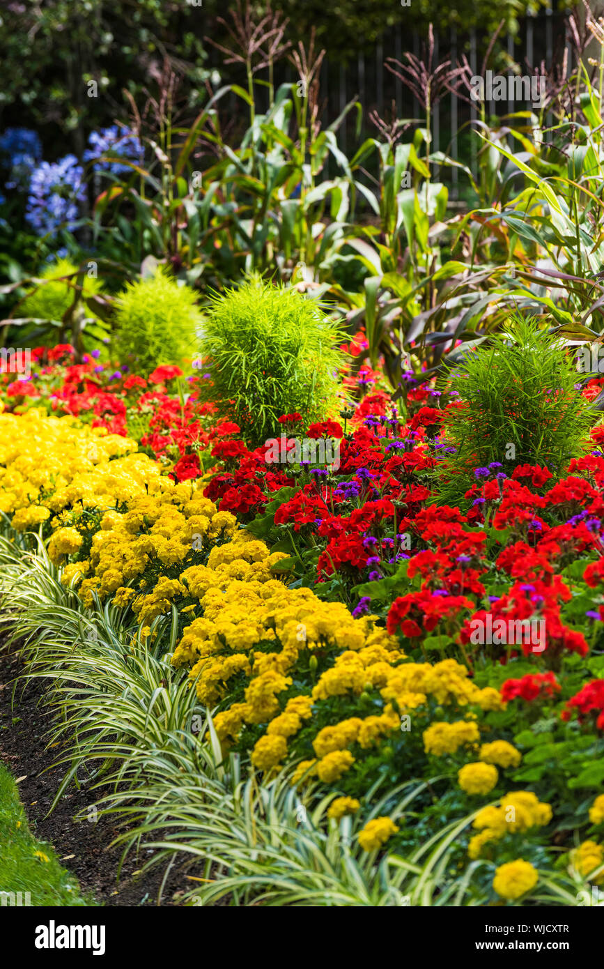 A flower bed full of vibrant colourful plants and flowers Stock Photo ...