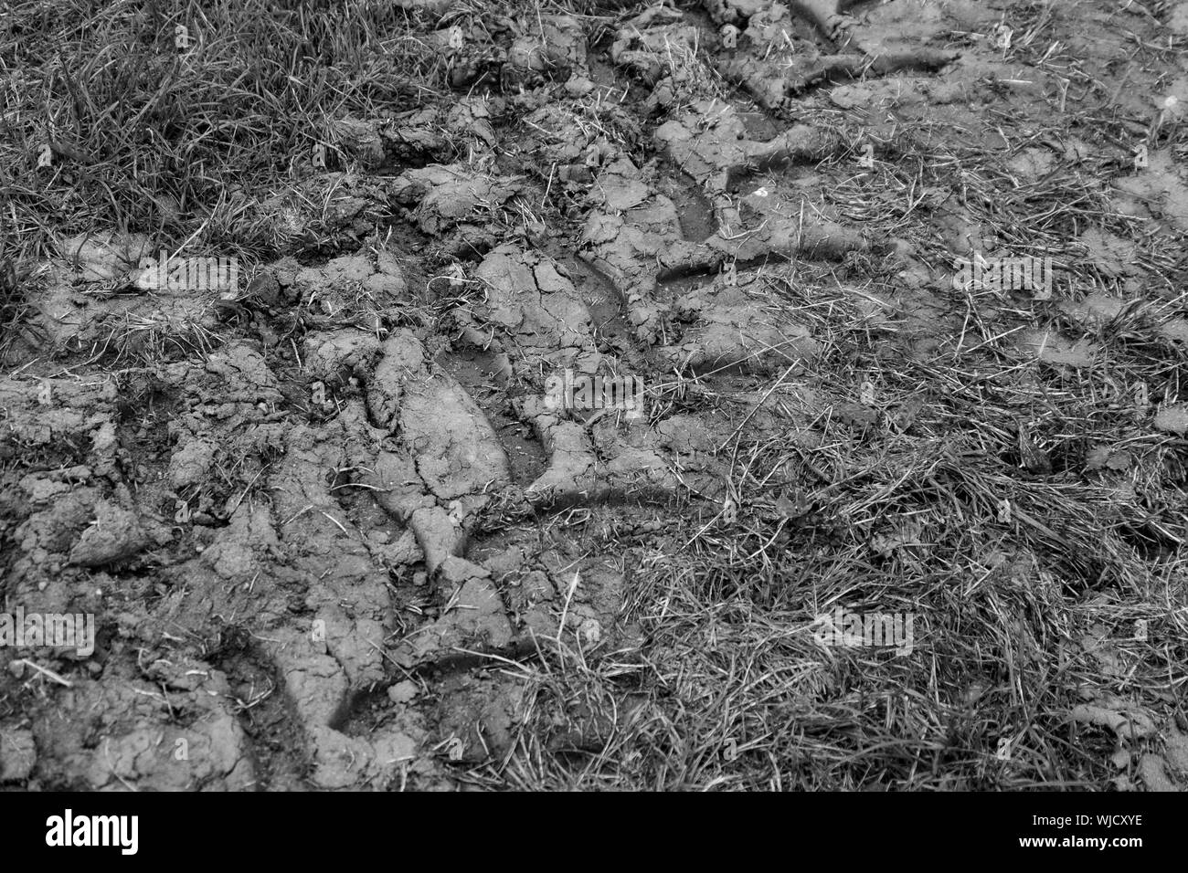 Ground track hi-res stock photography and images - Alamy