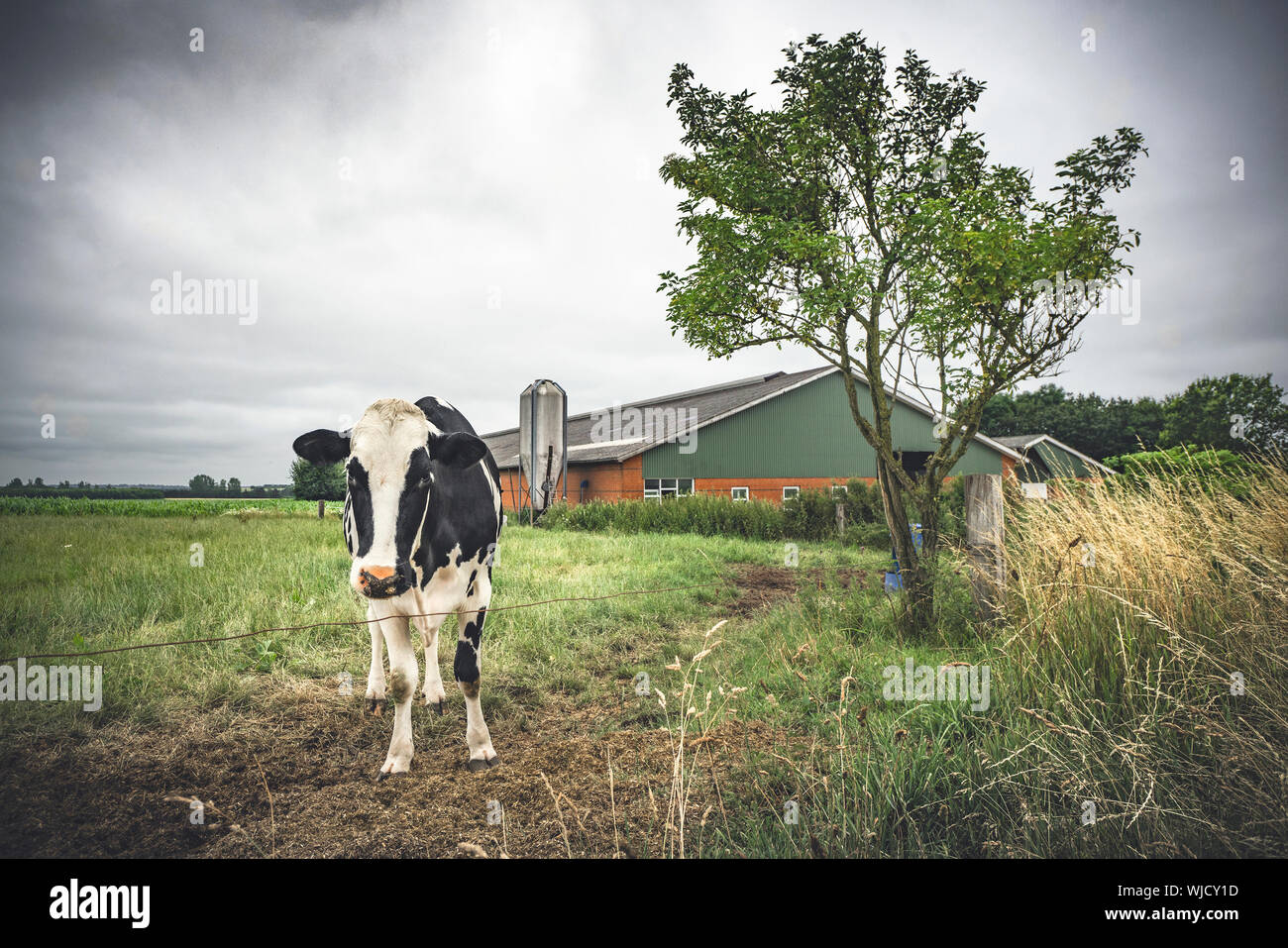 Grassland ranch fall hi-res stock photography and images - Alamy