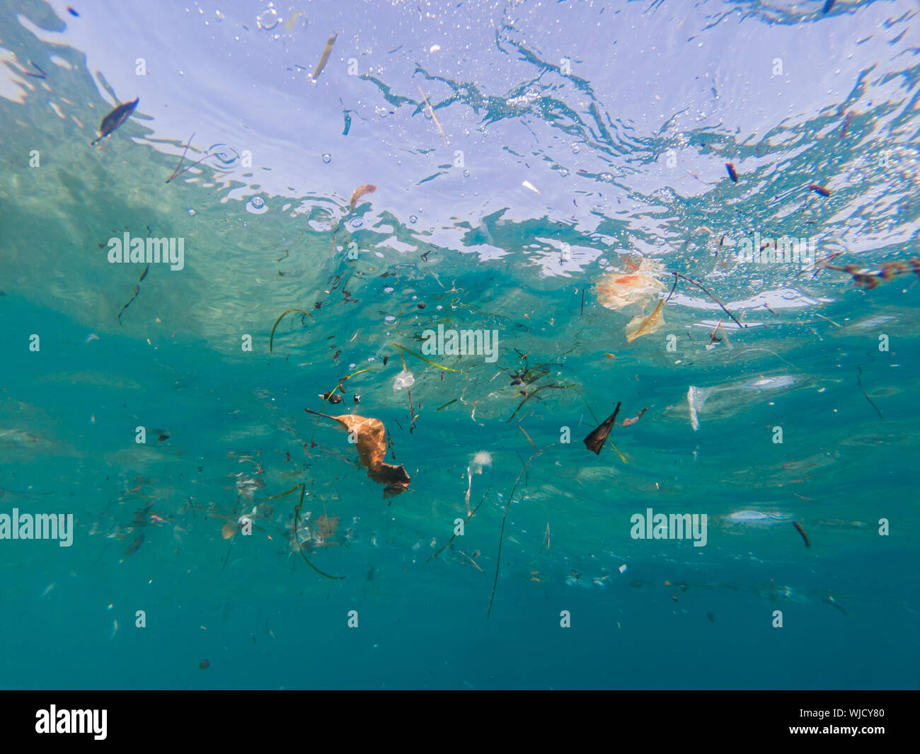 Underwater pollution hi-res stock photography and images - Alamy