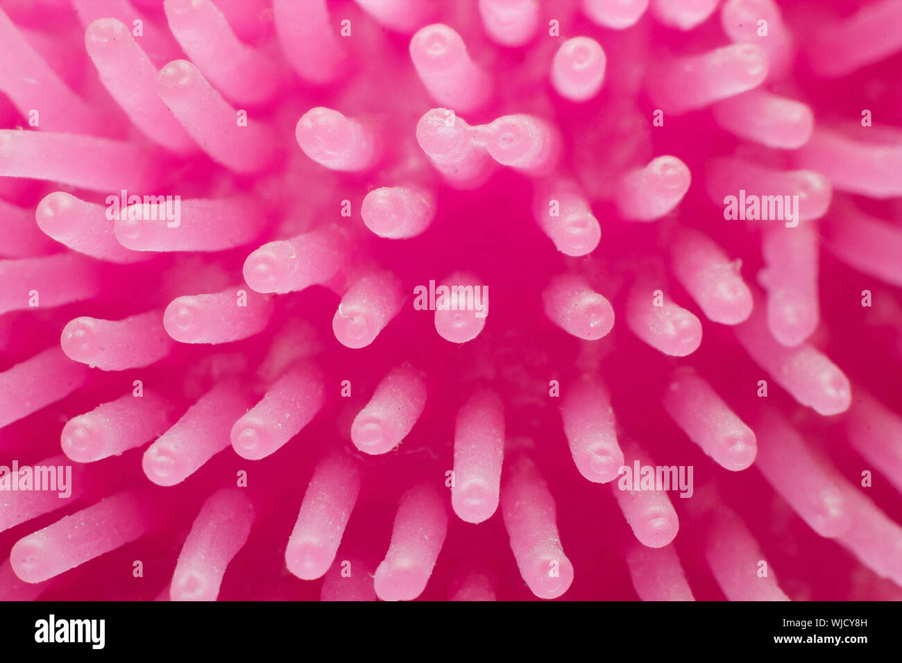 Abstrack pink anemone like texture background Stock Photo - Alamy