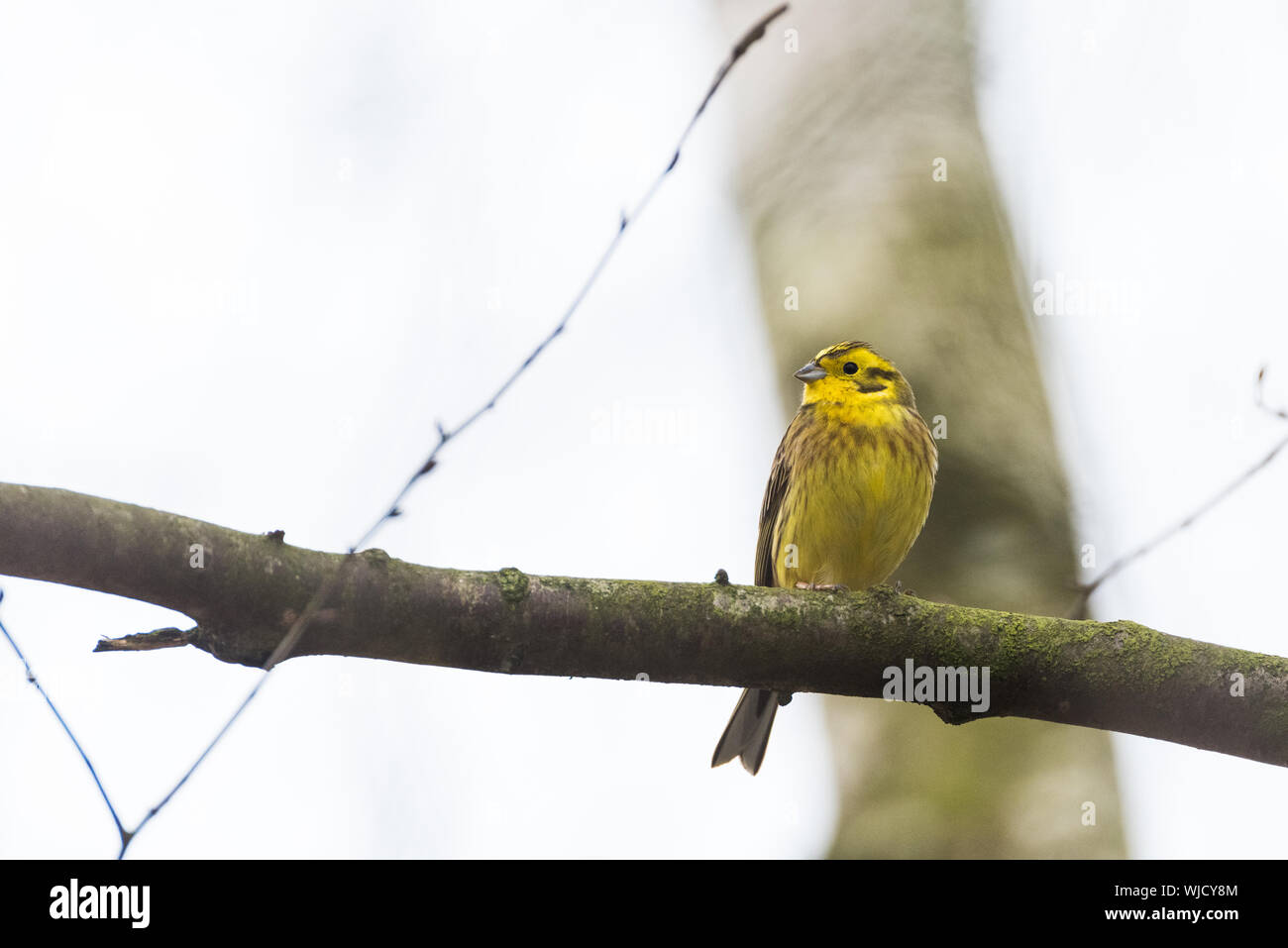 Turned sideways hi-res stock photography and images - Alamy