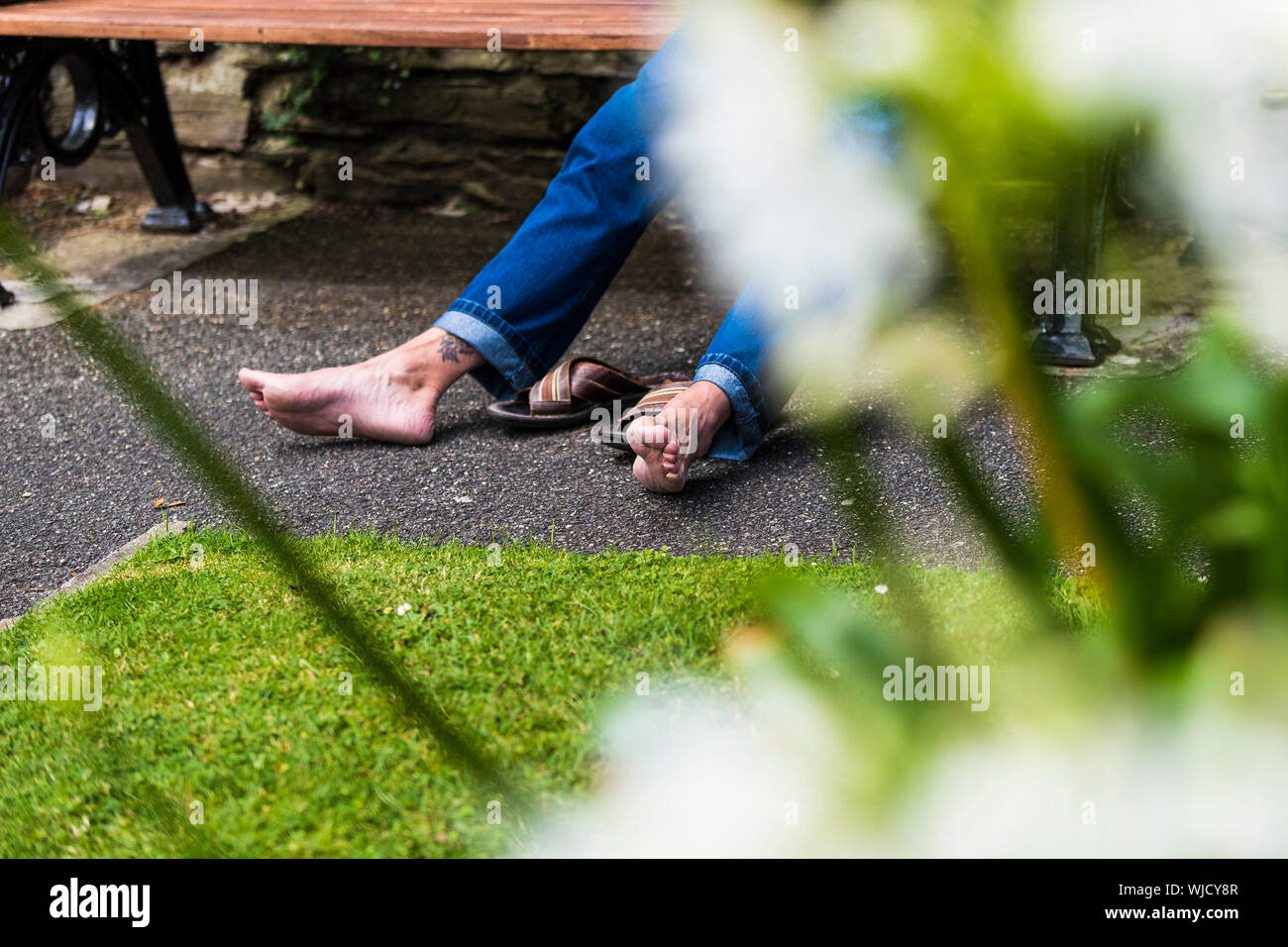 The bare feet of a man sitting on a bench seen through foliage and ...