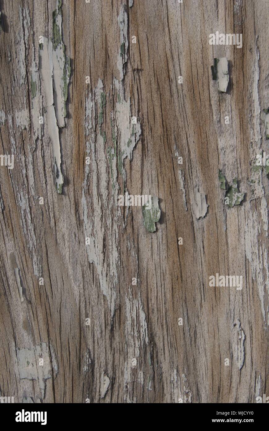 Material. Texture. Trend Stock Photo - Alamy