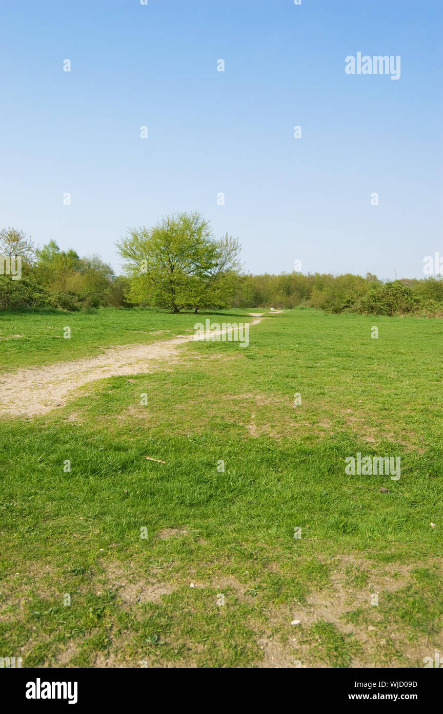 Footpath in a park in Nijmegen, the Netherlands Stock Photo - Alamy
