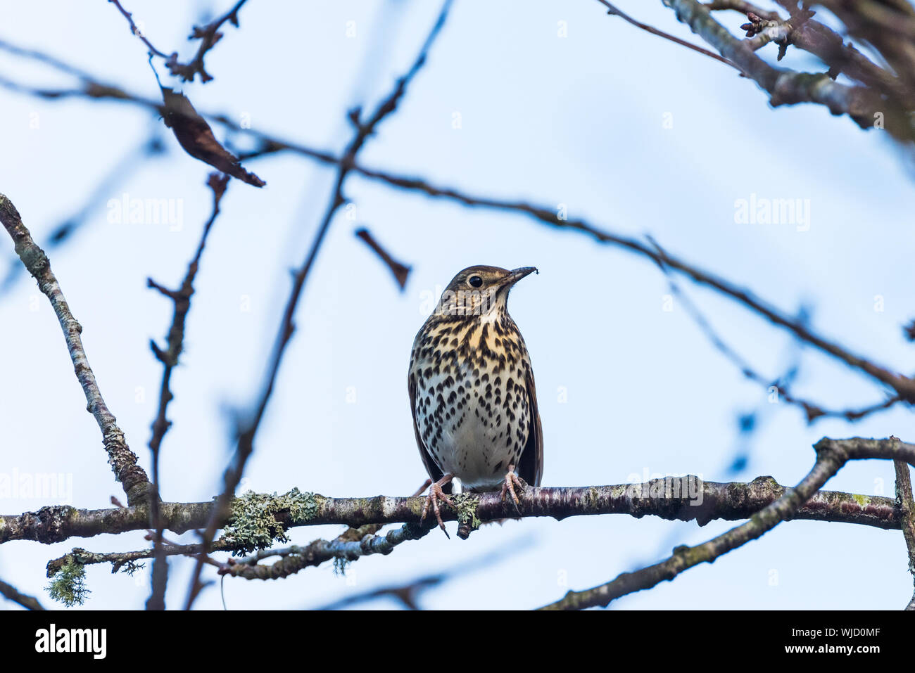 Turned sideways hi-res stock photography and images - Alamy