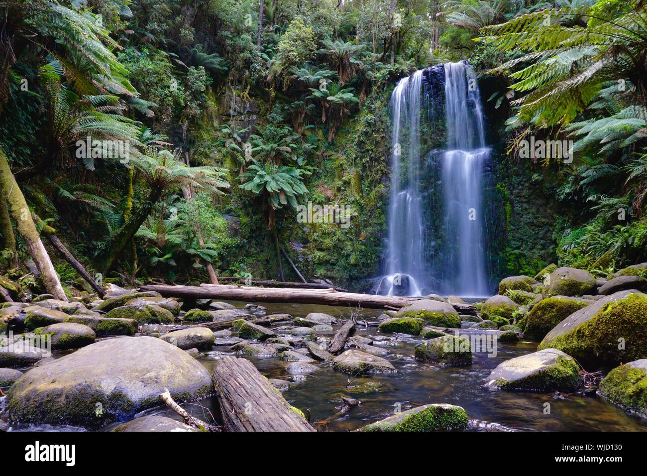 Beauchamp day hi-res stock photography and images - Alamy